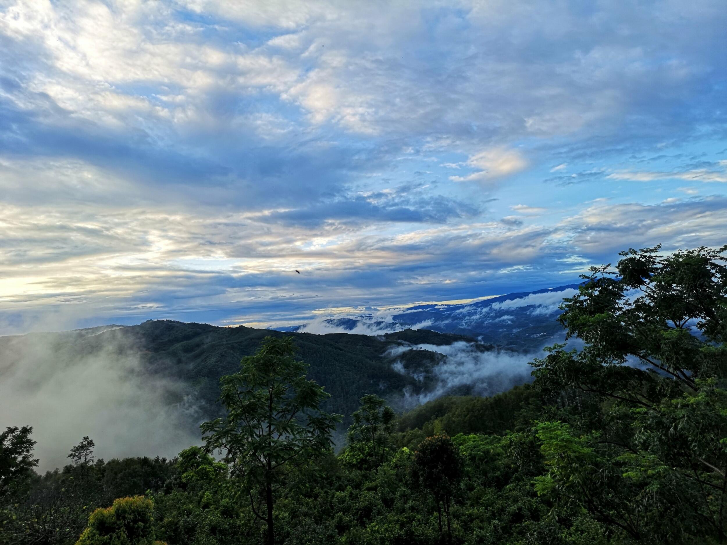 Announcing Yunnan's latest UNESCO site: The ancient tea forests of ...