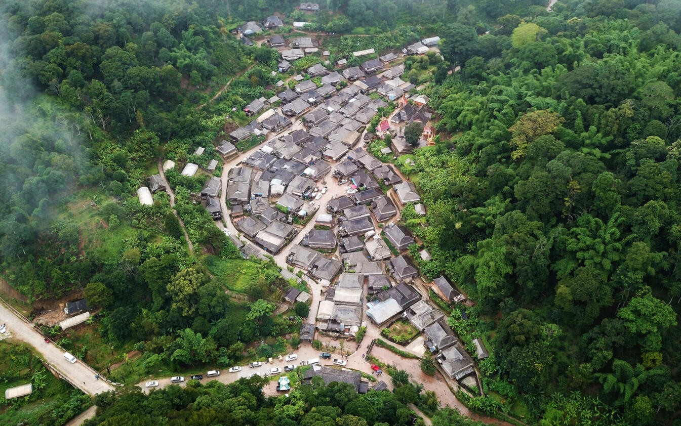 Announcing Yunnan's latest UNESCO site: The ancient tea forests of ...