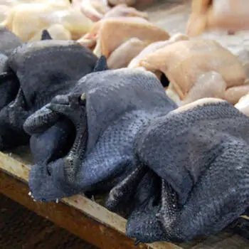 How to cook a spicy Yunnan specialty: Ghost chicken | GoKunming